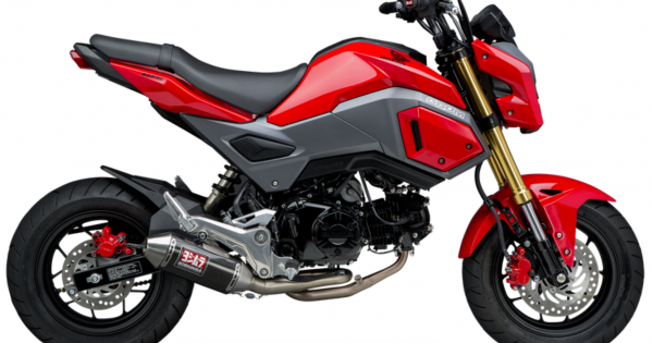HONDA GROM